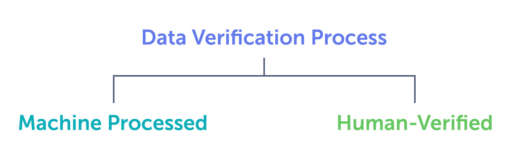 The Data Battle: Machine-Processed Data Vs Human-Verified Data